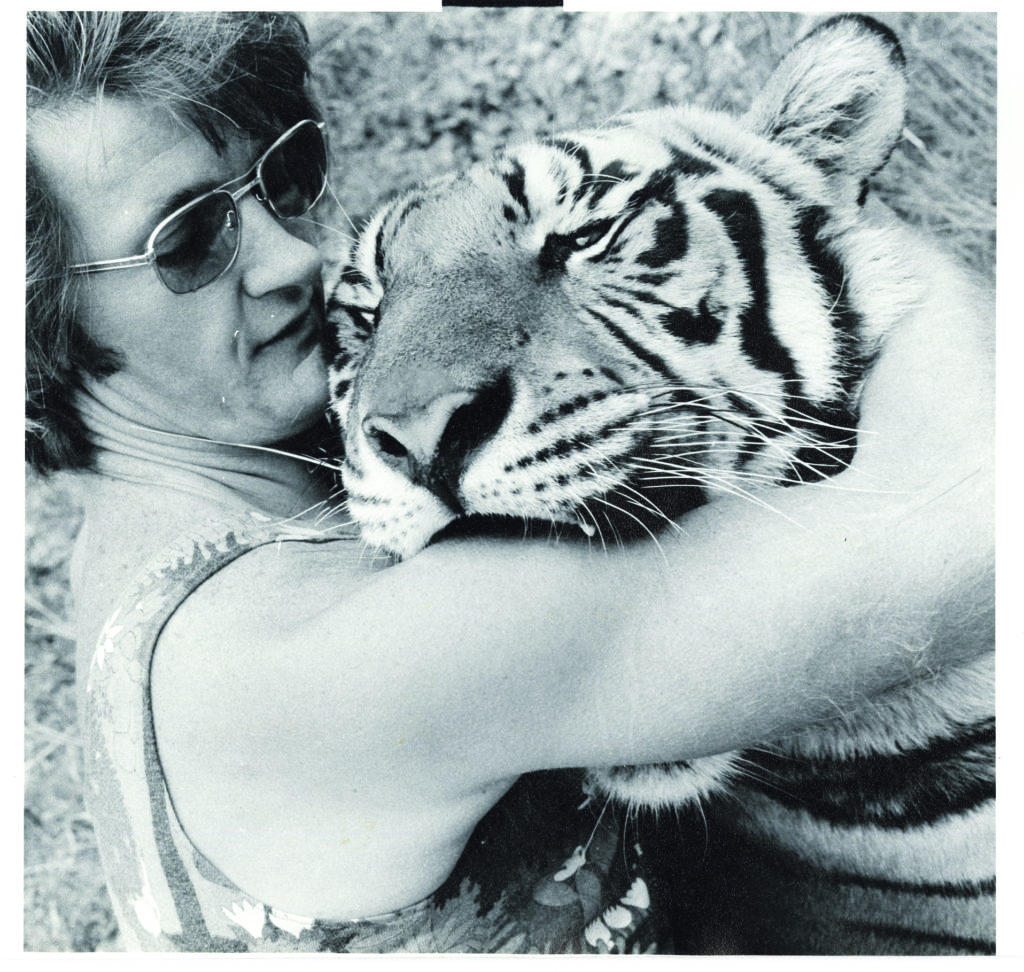 Animal Movies and Action Men - OCA MAGAZINE